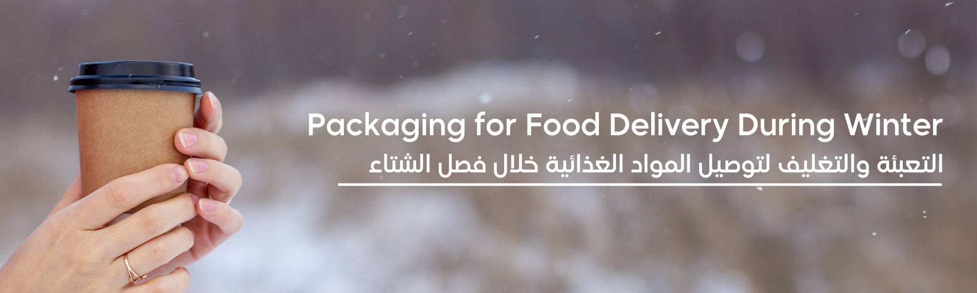 The Role of Food Packaging in Winter for Hot Food Delivery – hotpack.qa